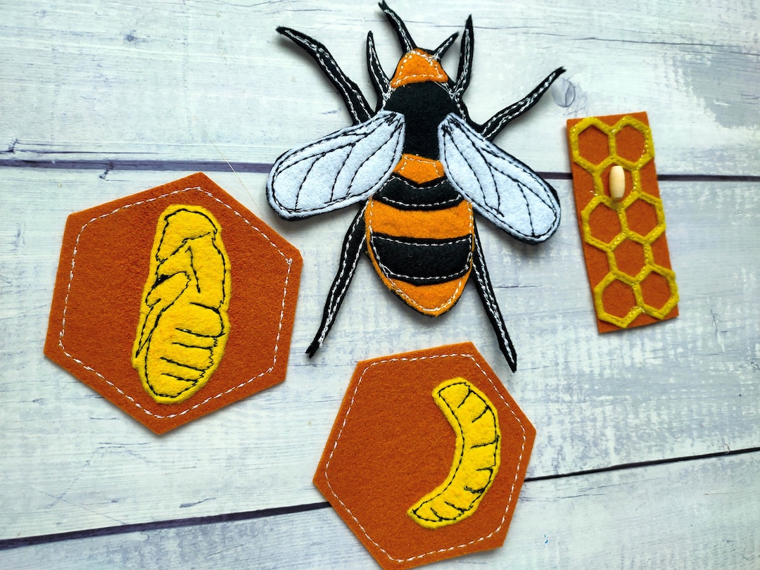 Bee Cycle Life, Cycle Life Activity Game - Etsy