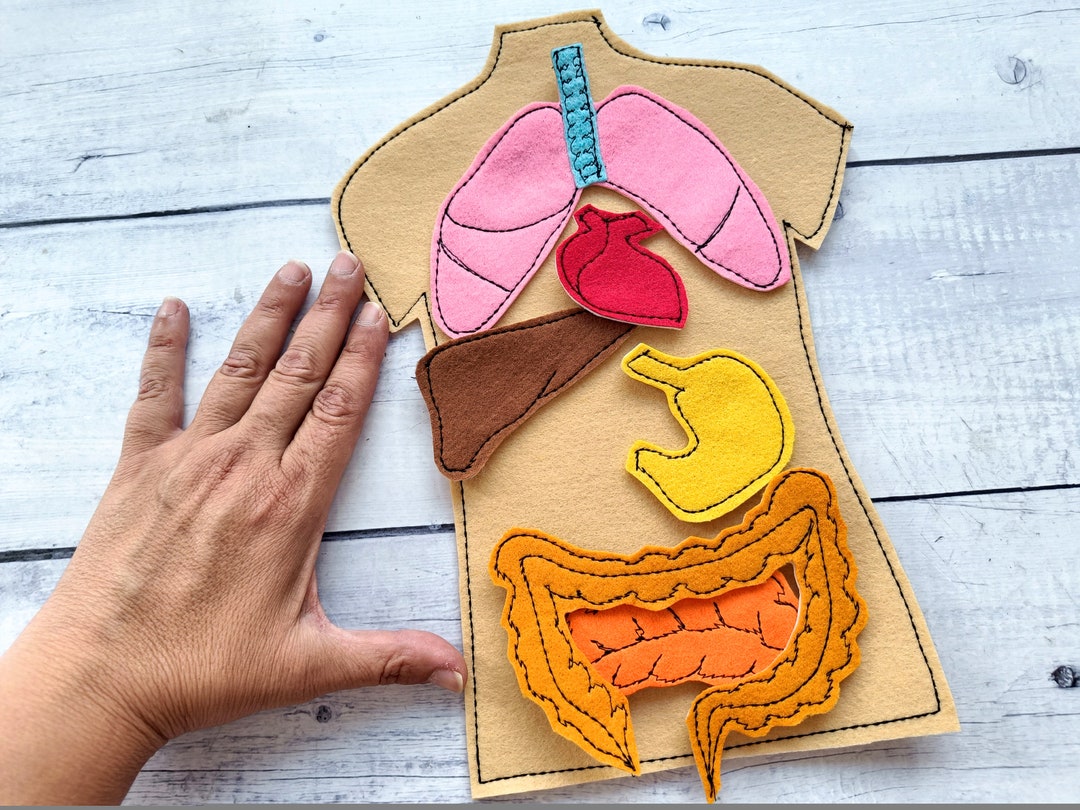 Body Parts Game (9 Pieces Included ,no Velcro) Didactic Game ...