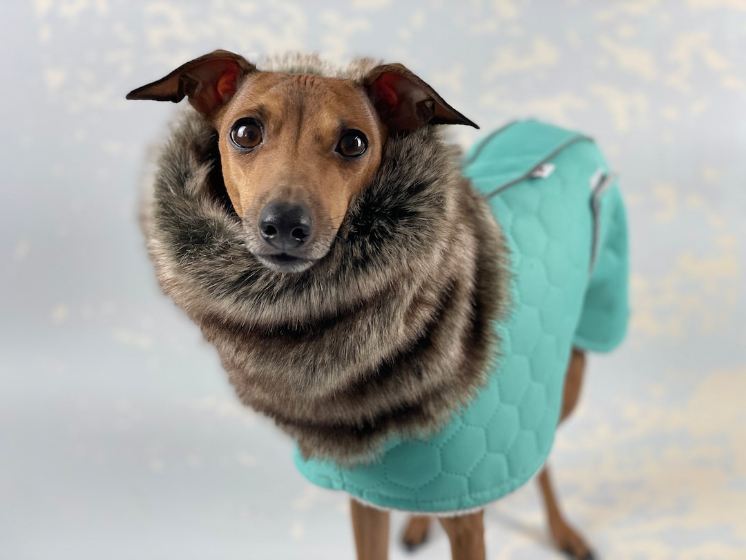 S1 Turquoise Winter Coat With Fur - Etsy Sweden