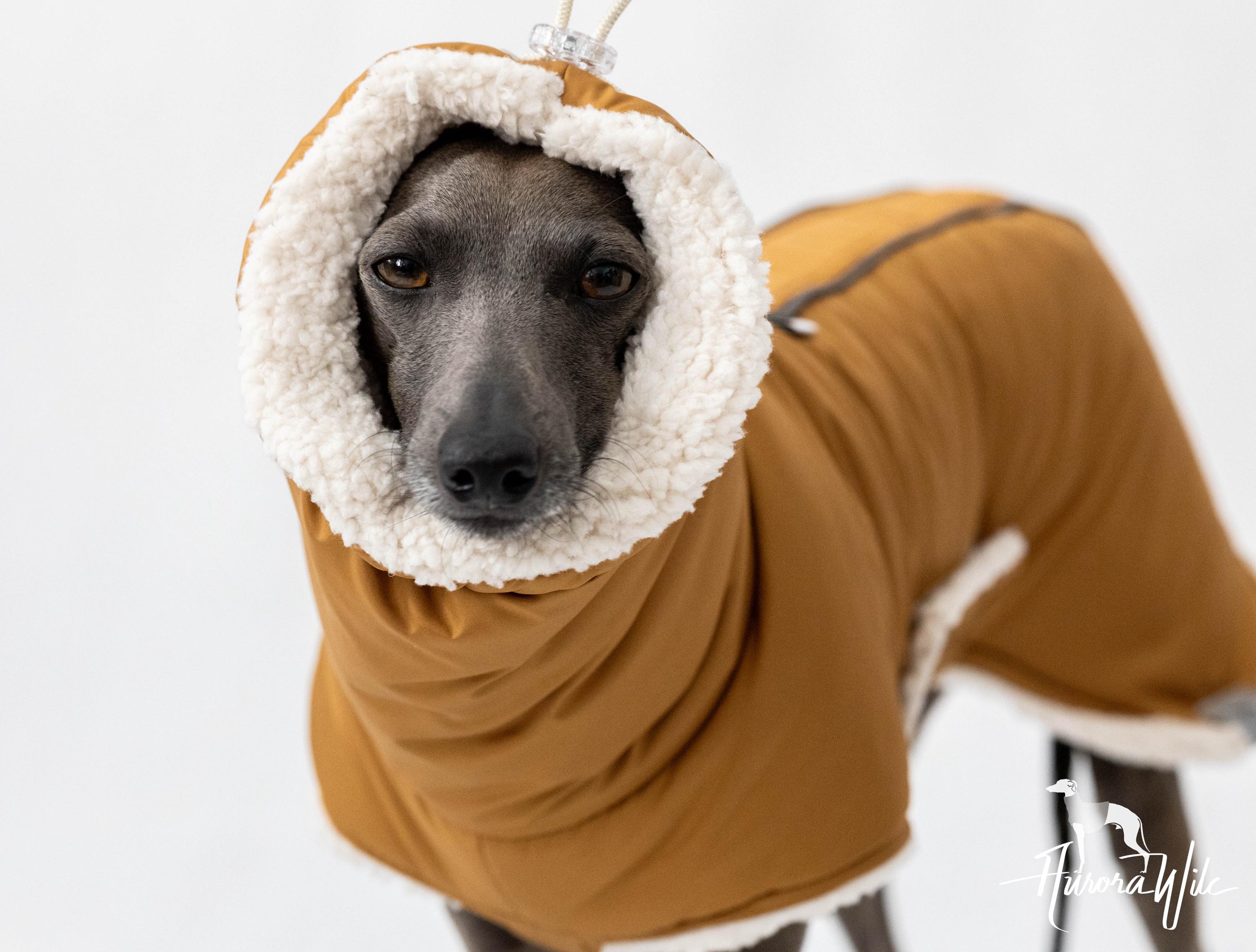 Insulated Puffer With Belly Warmer - Etsy