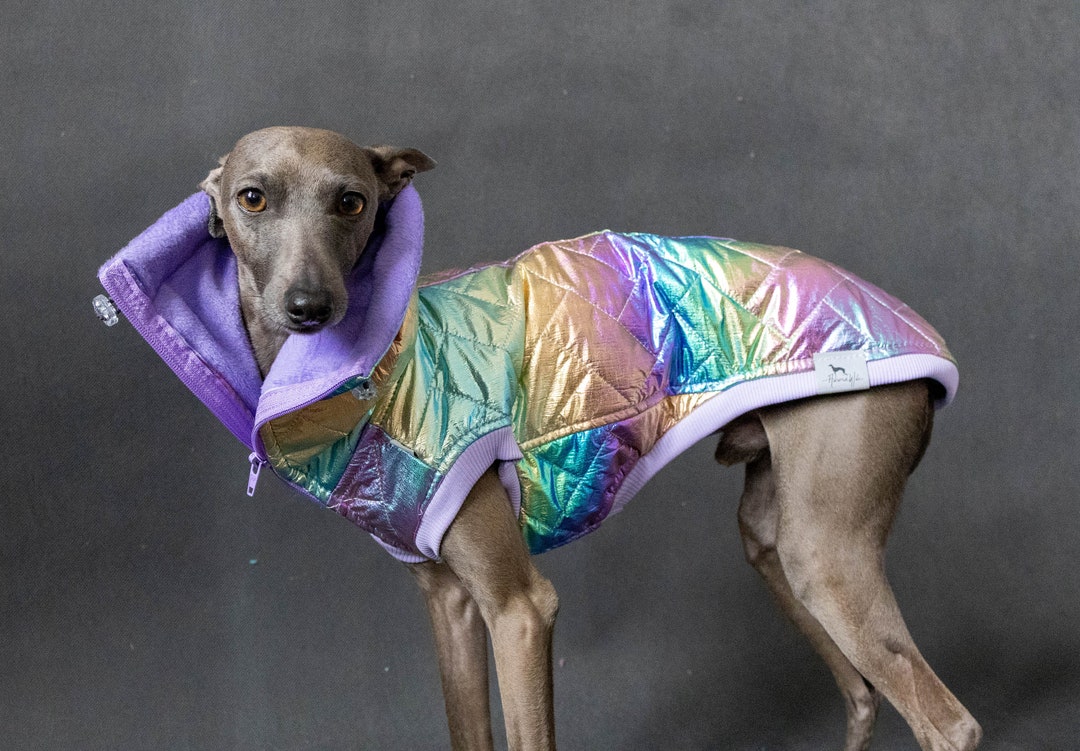 Rainbow Holo Waterproof Jacket - Etsy Australia