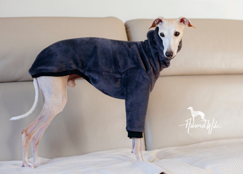 Custom FURRY Vest long jumper Italian Greyhound clothing | Etsy