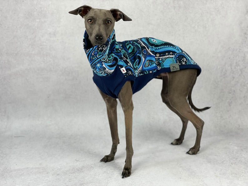 CUSTOM Softshell for Greyhound Comfortable Jacket Jumper - Etsy