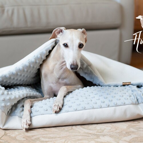 LUXURY Galaxy Bed Cave Snuggly Bedding - Etsy