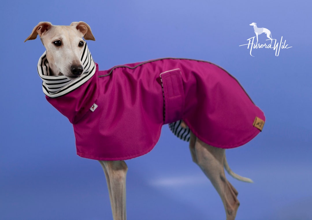 Fuchsia Dog Raincoat: Handmade Waterproof Coat - Etsy