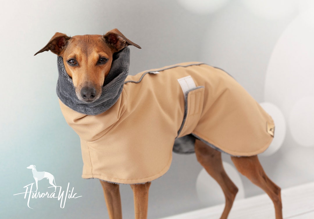 Beige Greyhounds Coat Sport - Etsy
