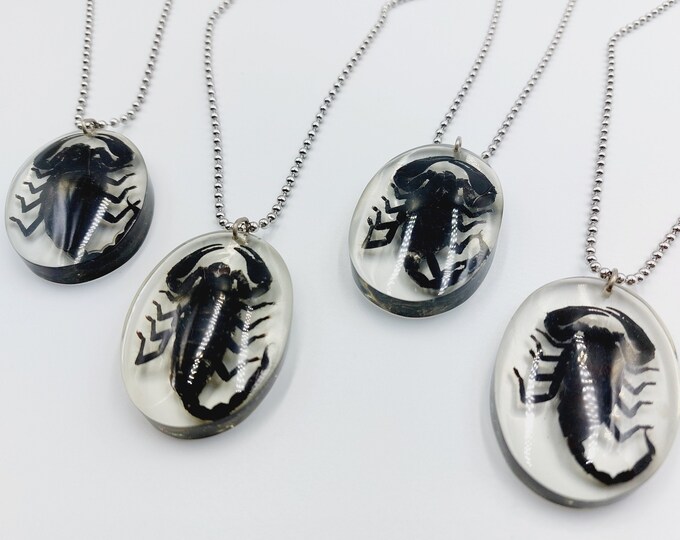 Black Scorpion Pendant - Gothic Scorpion Taxidermy Necklace Scorpio ...