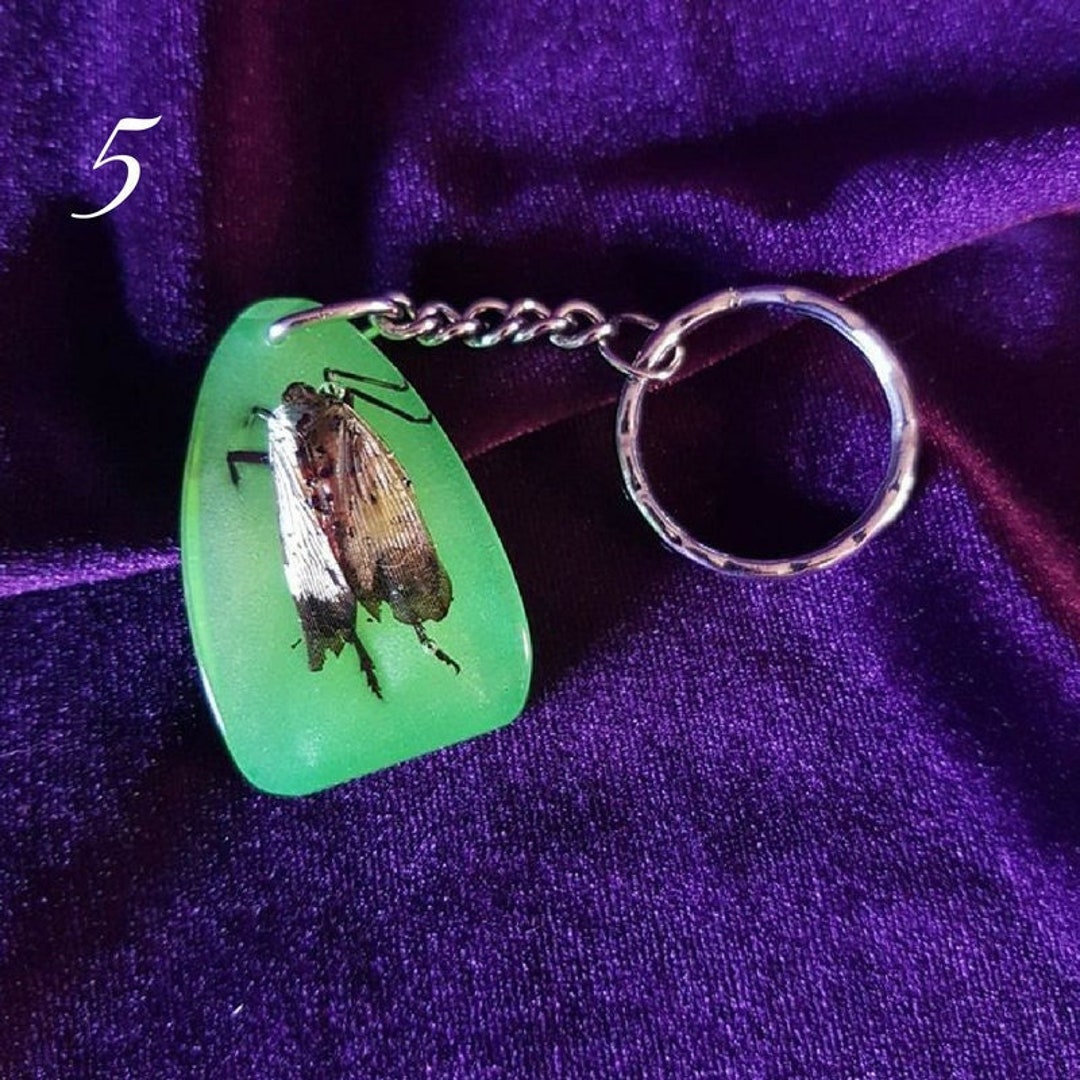 5 Different Insect Resin Keychains Insect Moths Beetles Gothic Keychain ...