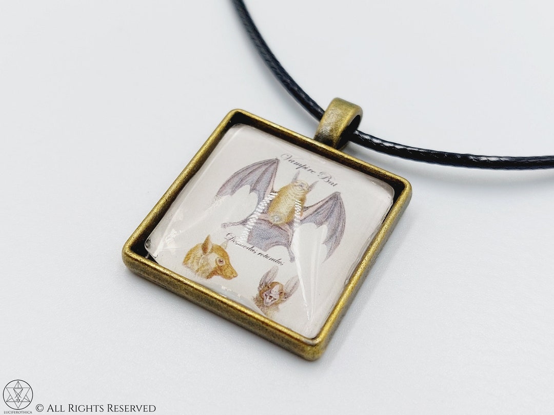 Vampire Bat Anatomy Pendant - Gothic Vampiric Bat Scientific Biology ...