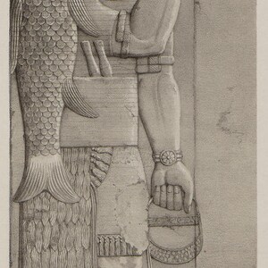 Apkallu / Abgal Fishman Demi-god Sage Oannes Shell Necklace - Sodalite ...