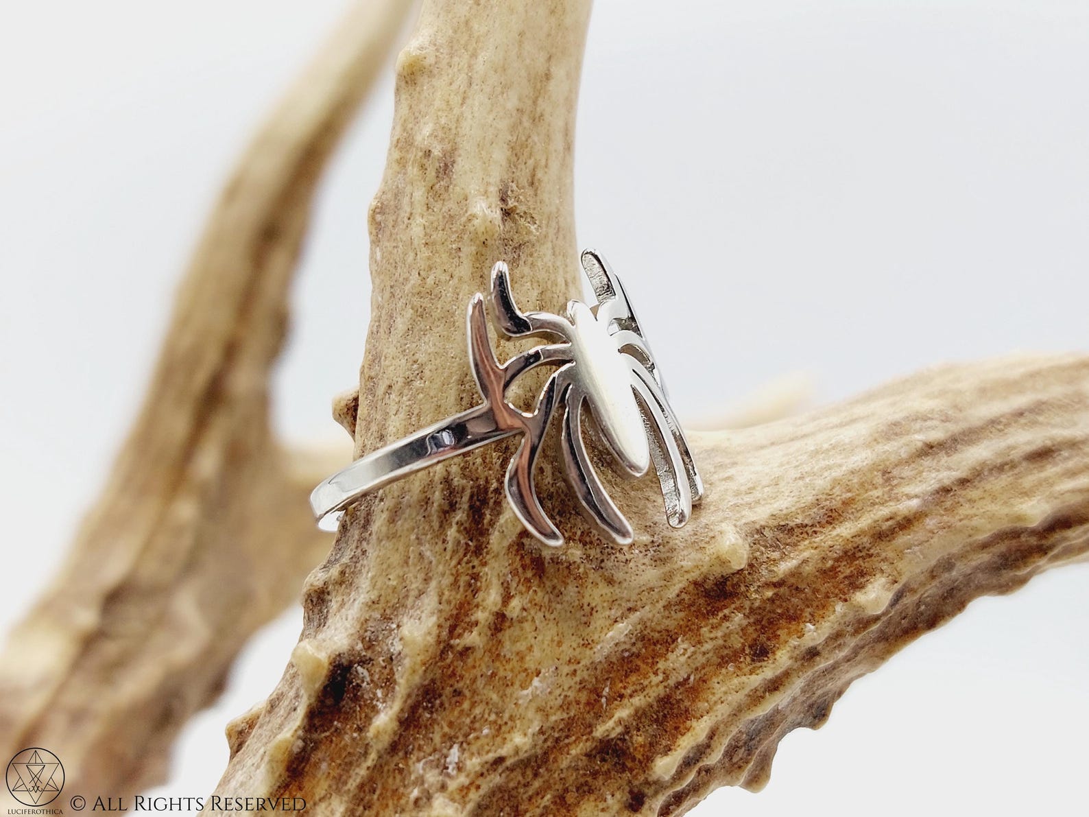 Spider Ring (stainless Steel) - Tarantula Arachnea Gothic Creepy ...