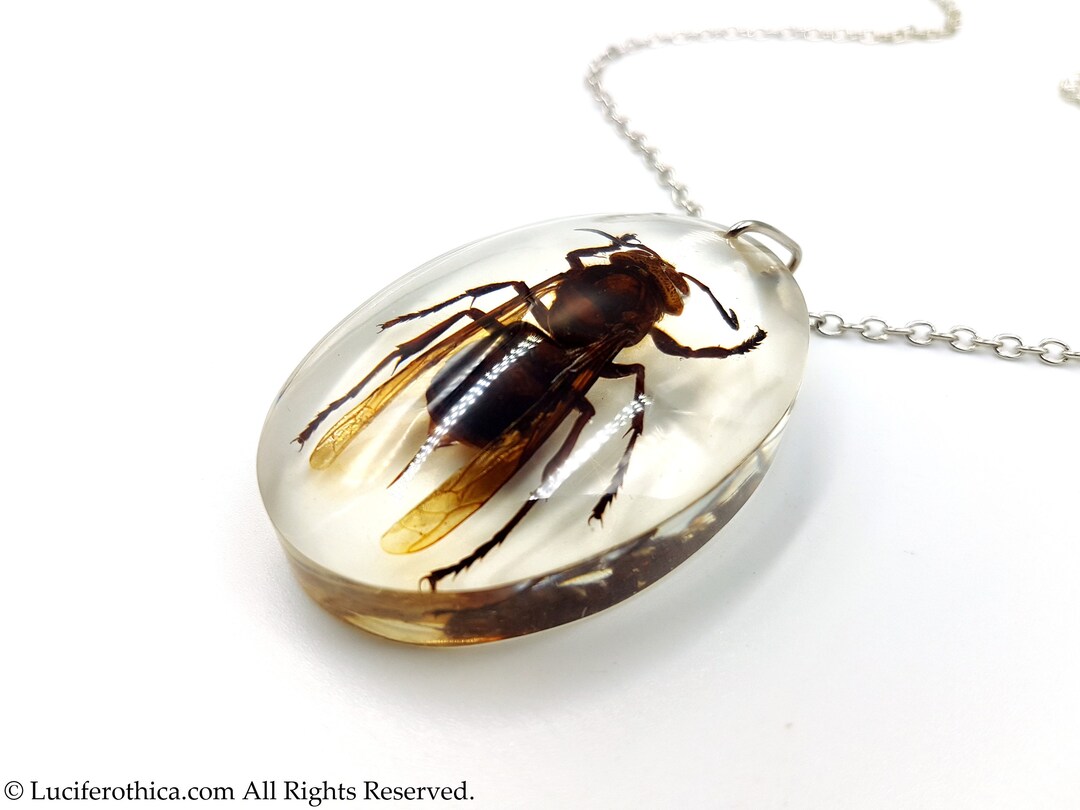 Hornet Resin Pendant Gothic Wasp Hornet Taxidermy Necklace Bee Wasp ...