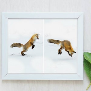Fox Print, Foxes, Fox Leaping in Snow, Woodland Animals, Printable Wall ...