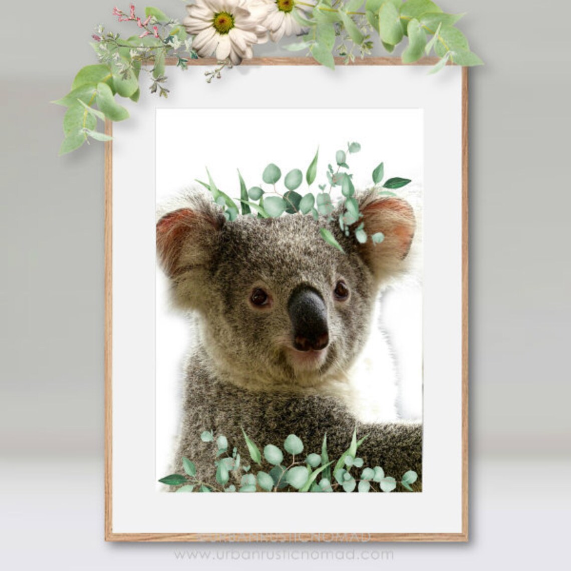Koala Print Koala Australian Animal Print Wall Art Nursery - Etsy