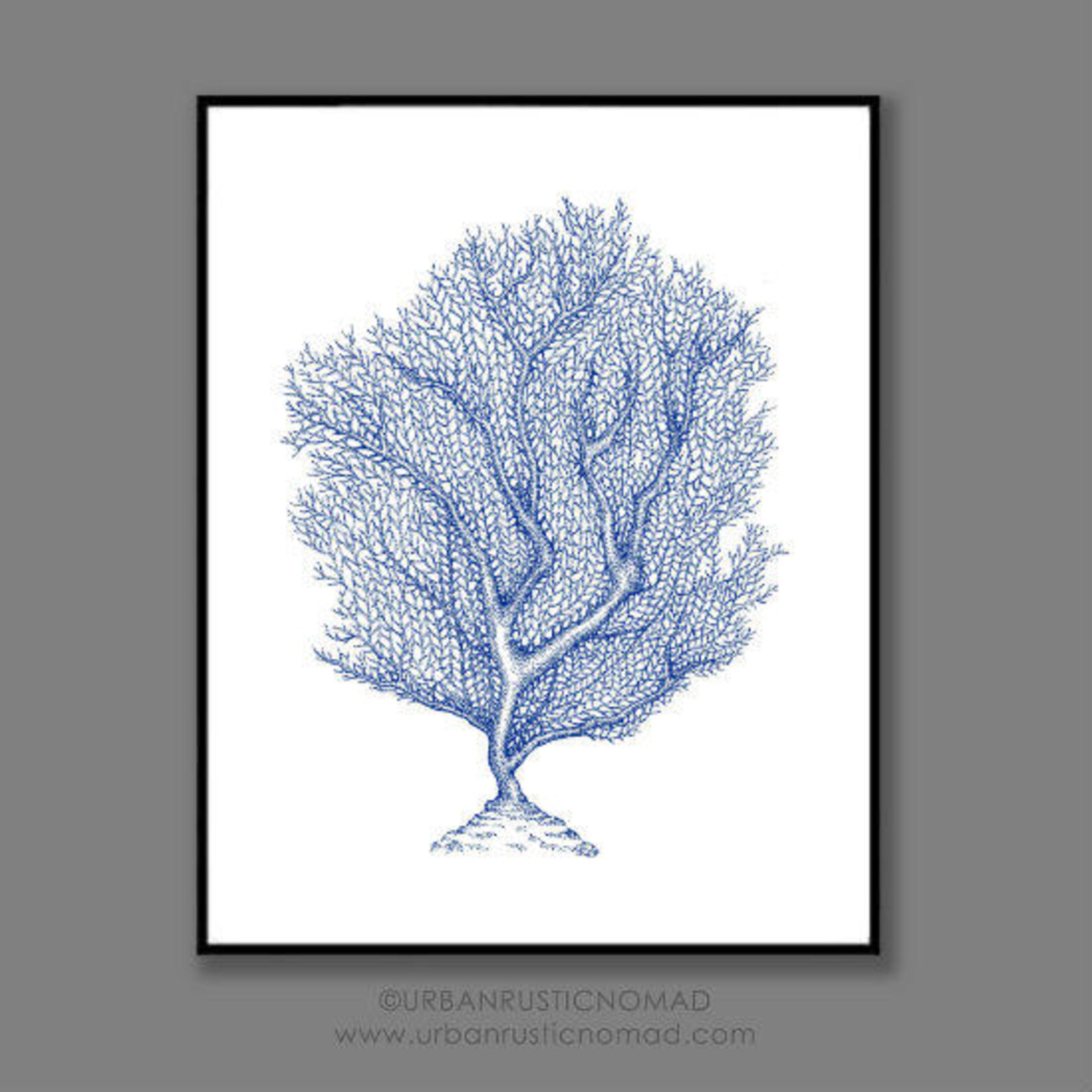 Sea Coral Indigo Blue, Underwater Coastal Photography, Printable ...