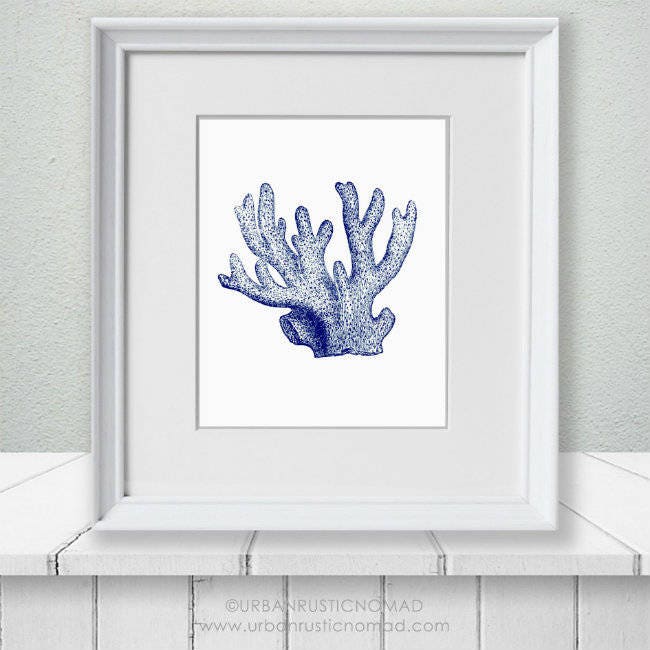 Sea Coral Indigo Blue Underwater Coastal Photography - Etsy