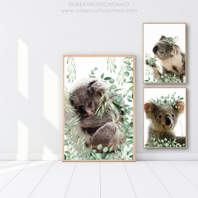 Koala Print Koala Australian Animal Print Wandkunst - Etsy.de