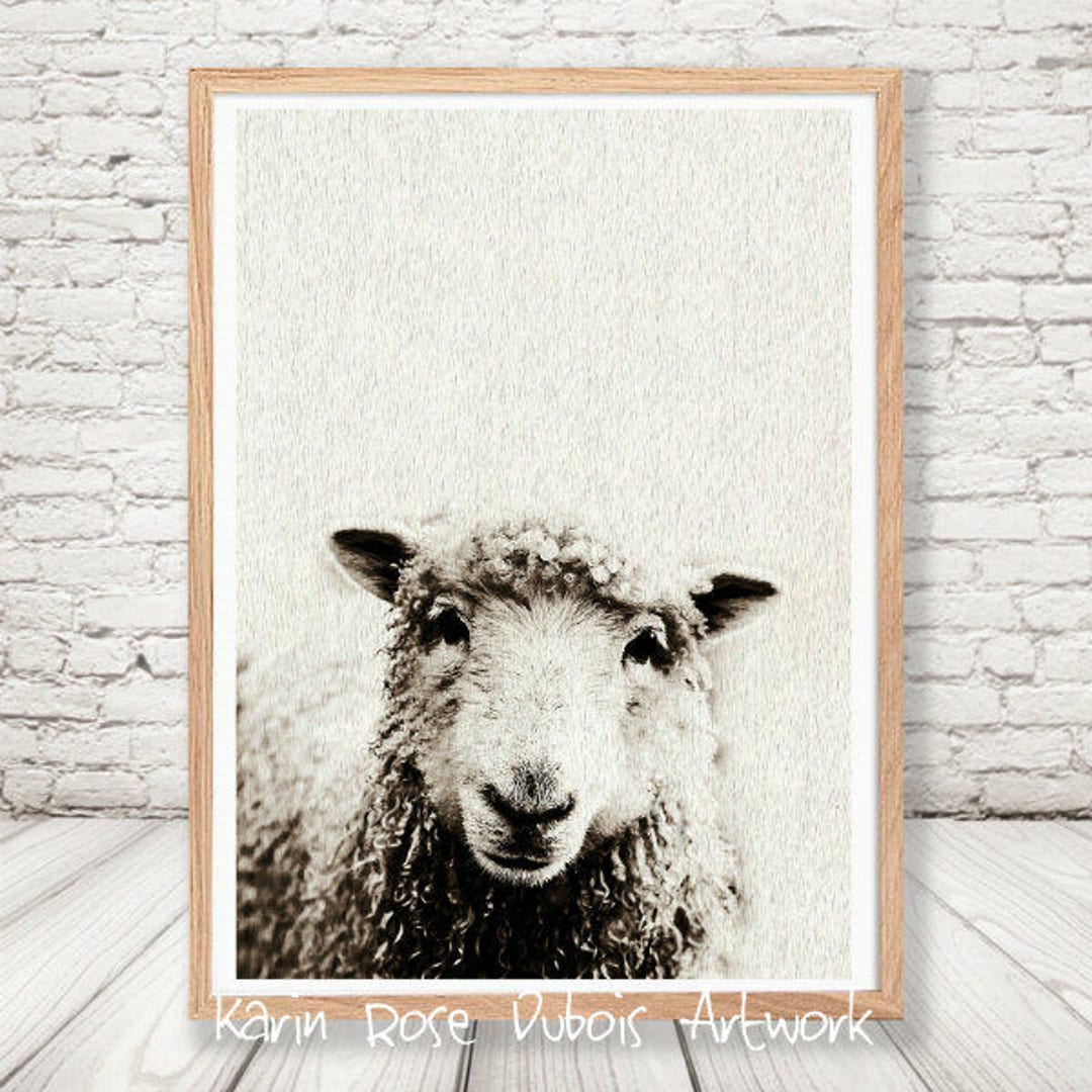Nandi Animals, Sheep, Wall Art, Photography, Digital Print, Wall Decor ...