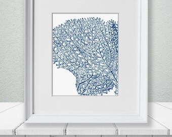 Sea Coral Indigo Blue Underwater Coastal Photography | Etsy