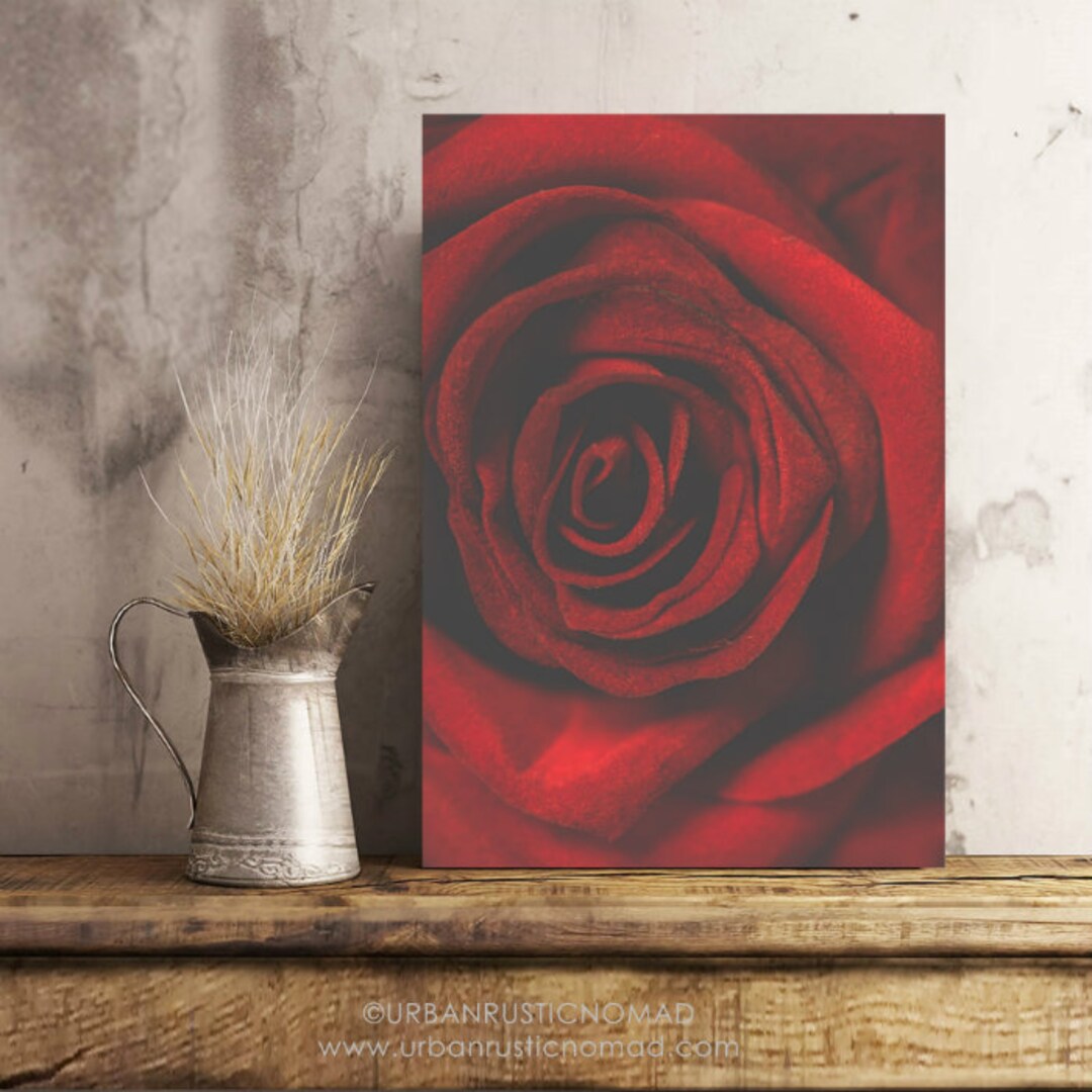 Deep Red Rose, Flowers, Wall Art Print, Photograph, Modern Vintage ...