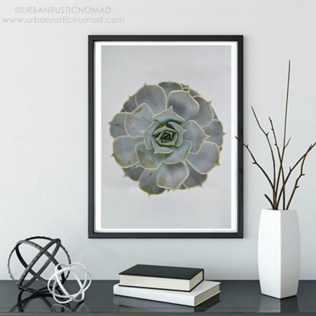 Cactus Succulents Grey White, Photography, Wall Art, Digital Instant ...