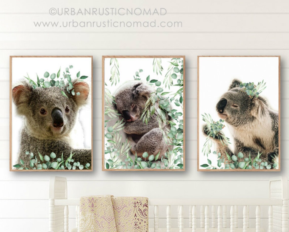 Koala Print Koala Australian Animal Print Wall Art Nursery - Etsy