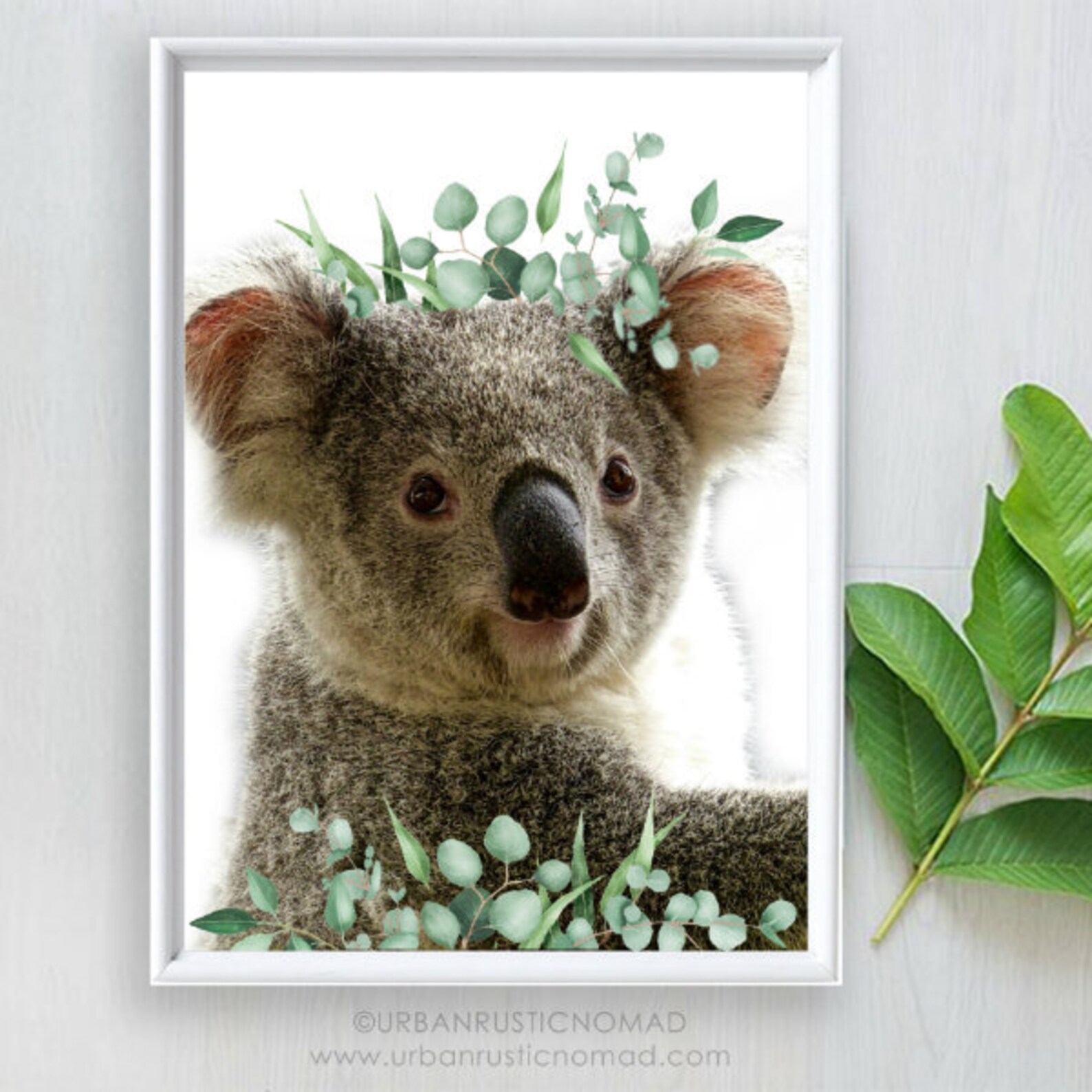 Koala Print Koala Australian Animal Print Wall Art Nursery - Etsy