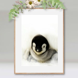 Penguin Print, Baby Animal Prints, Wall Art, Nursery Decor, Animal Wall ...