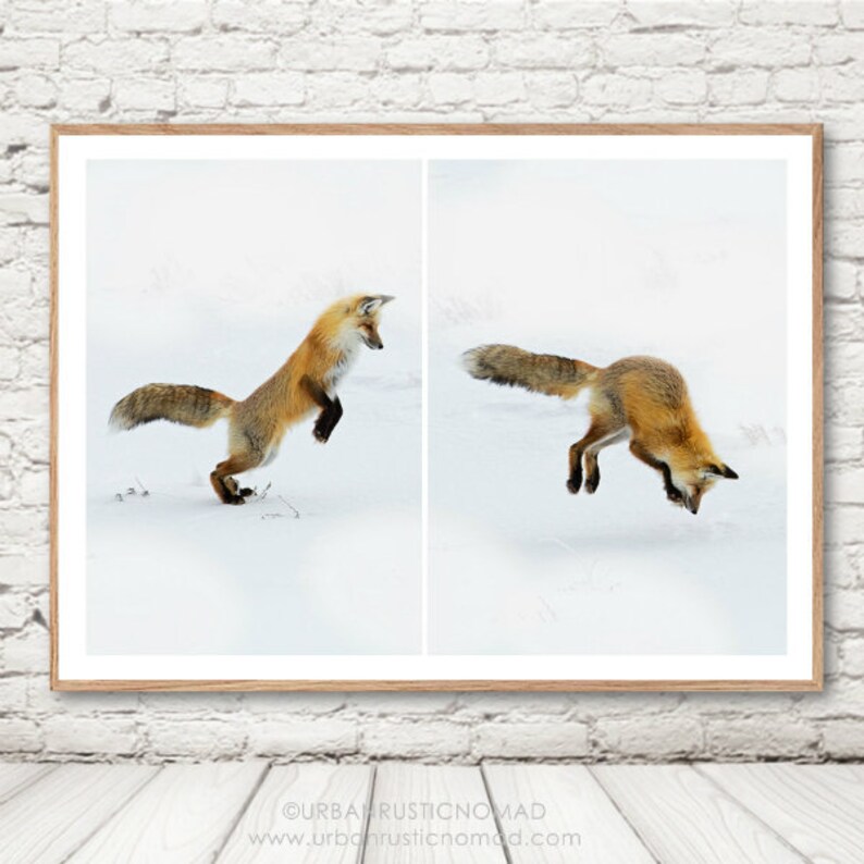 Fox Print, Foxes, Fox Leaping in Snow, Woodland Animals, Printable Wall ...