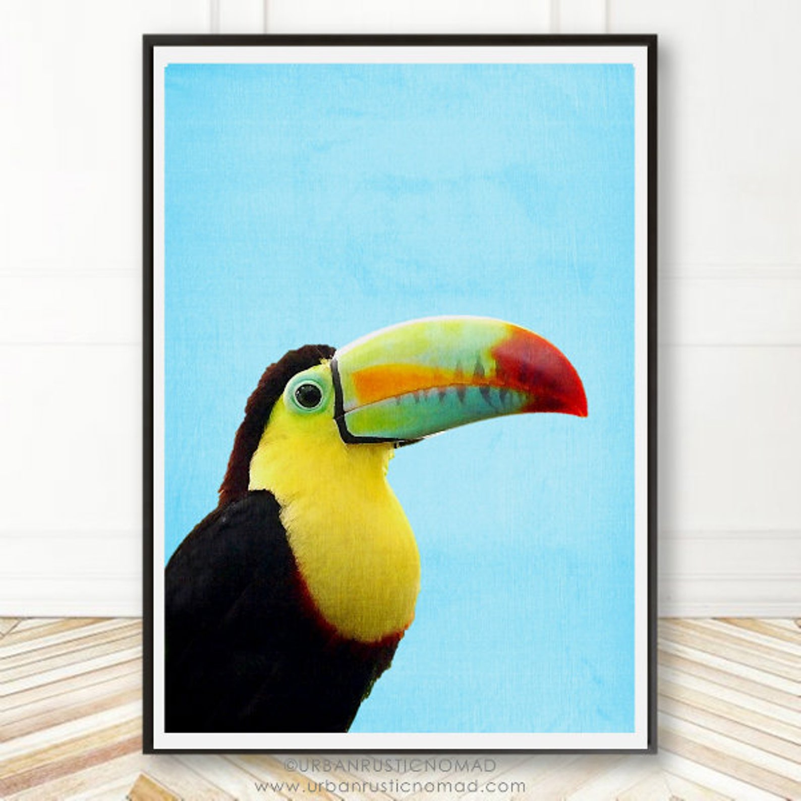 Bird Print, Toucan Print, Photo Tropical Wall Art, Digital Print ...