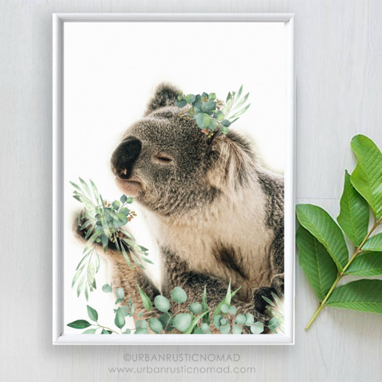 Koala Print Koala Australian Animal Print Wall Art Nursery - Etsy