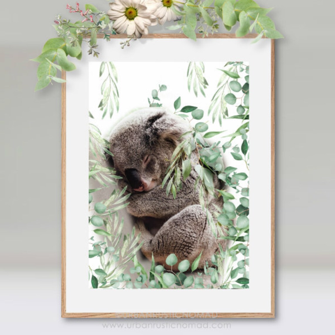 Koala Print Koala Australian Animal Print Wall Art Nursery - Etsy