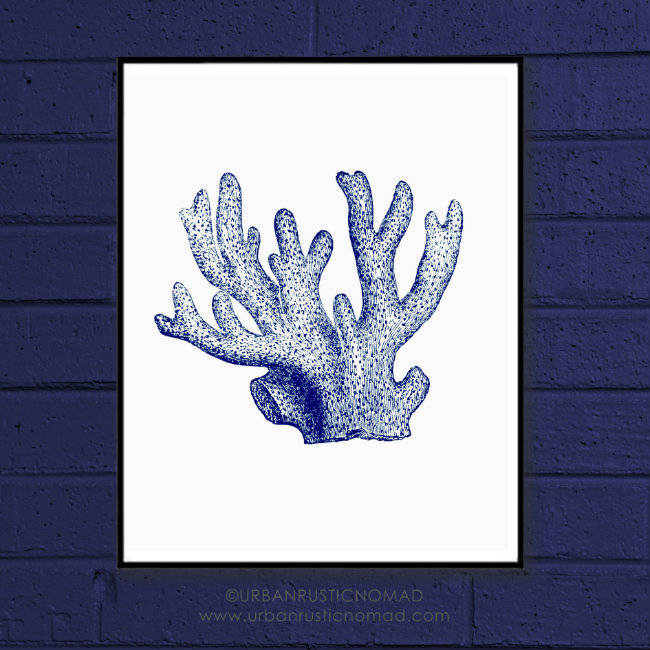 Sea Coral Indigo Blue Underwater Coastal Photography - Etsy