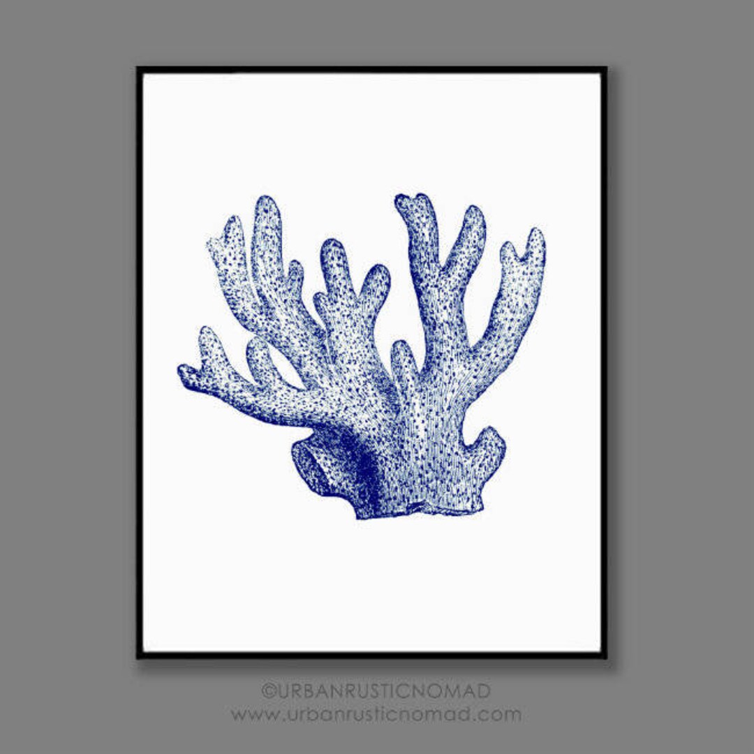 Sea Coral Indigo Blue, Underwater Coastal Photography, Printable ...