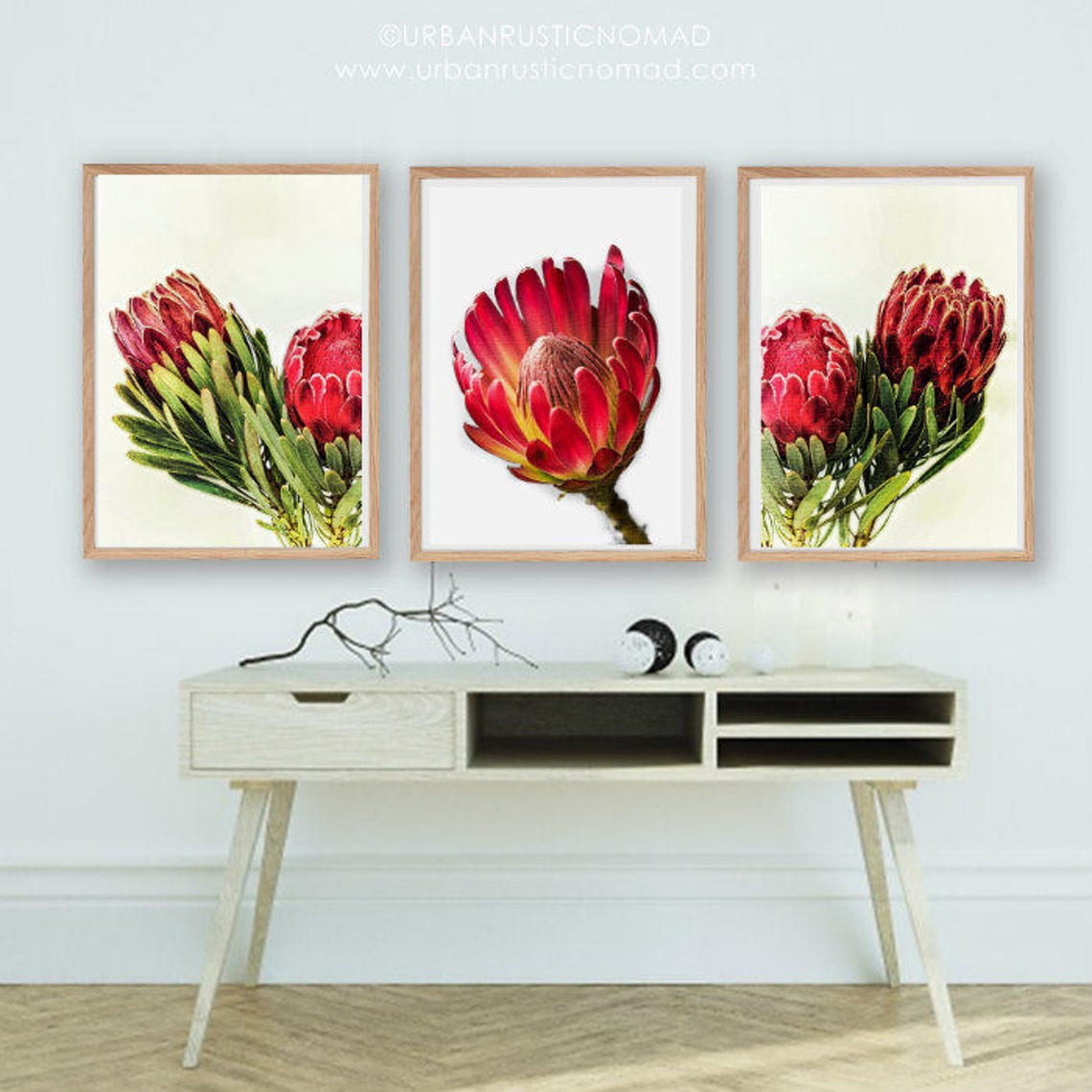 Protea Botanical Flowers Wall Art Print Modern Vintage | Etsy