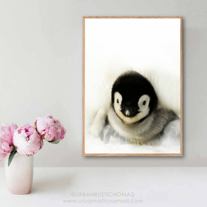 Penguin Print Baby Animal Prints Wall Art Nursery Decor - Etsy
