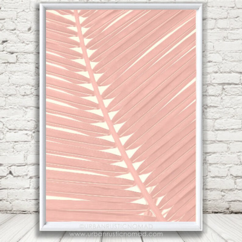 Palm Tree Frond Dusty Pink Tropical Decor Photography Wall | Etsy
