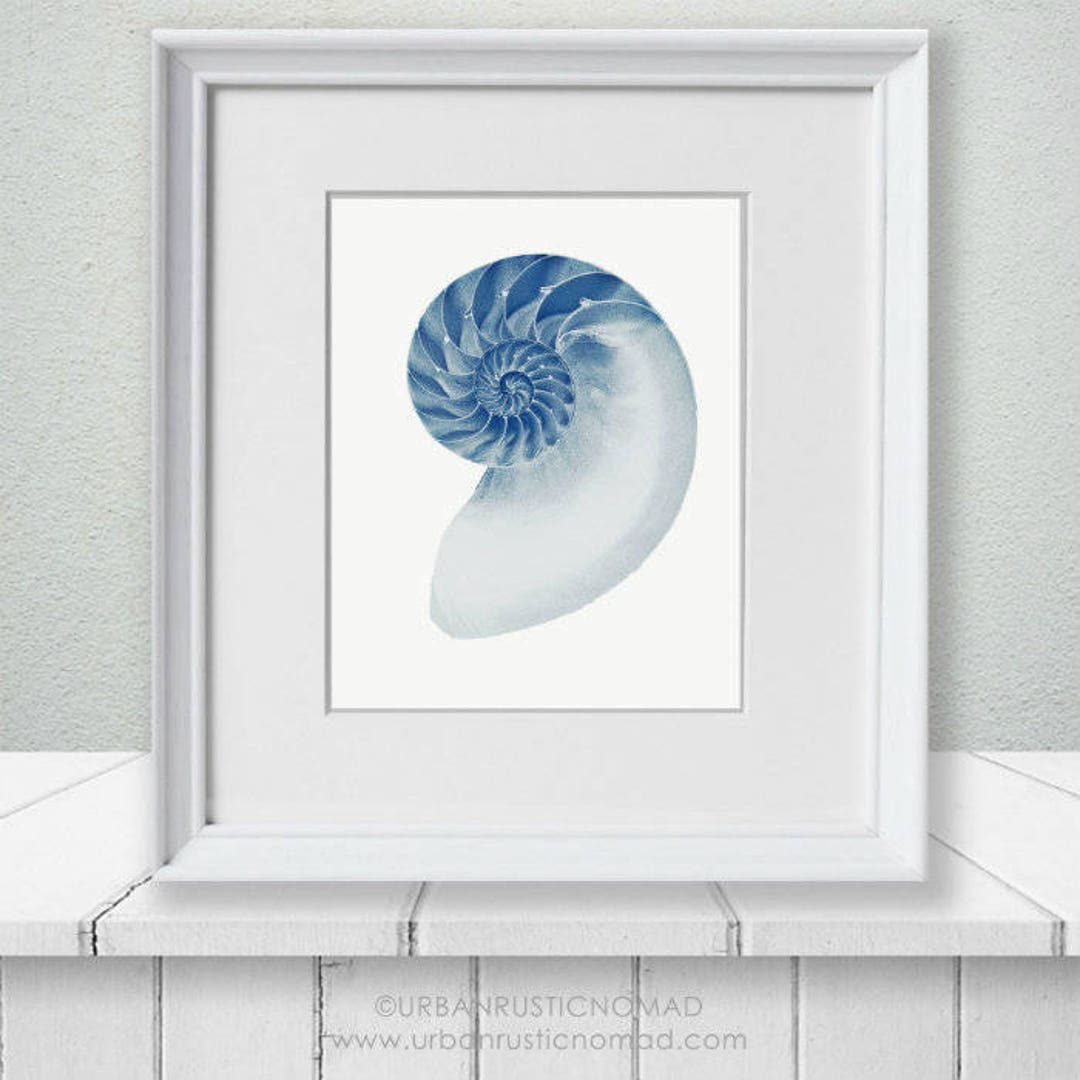 Indigo Blue Sea Shell Print, Coastal Ocean Art (digital Download) - Etsy