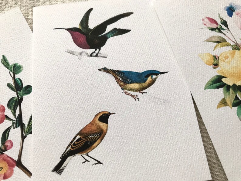 10 Pack Floral Folded Note Cards with Envelopes Floral Blank | Etsy