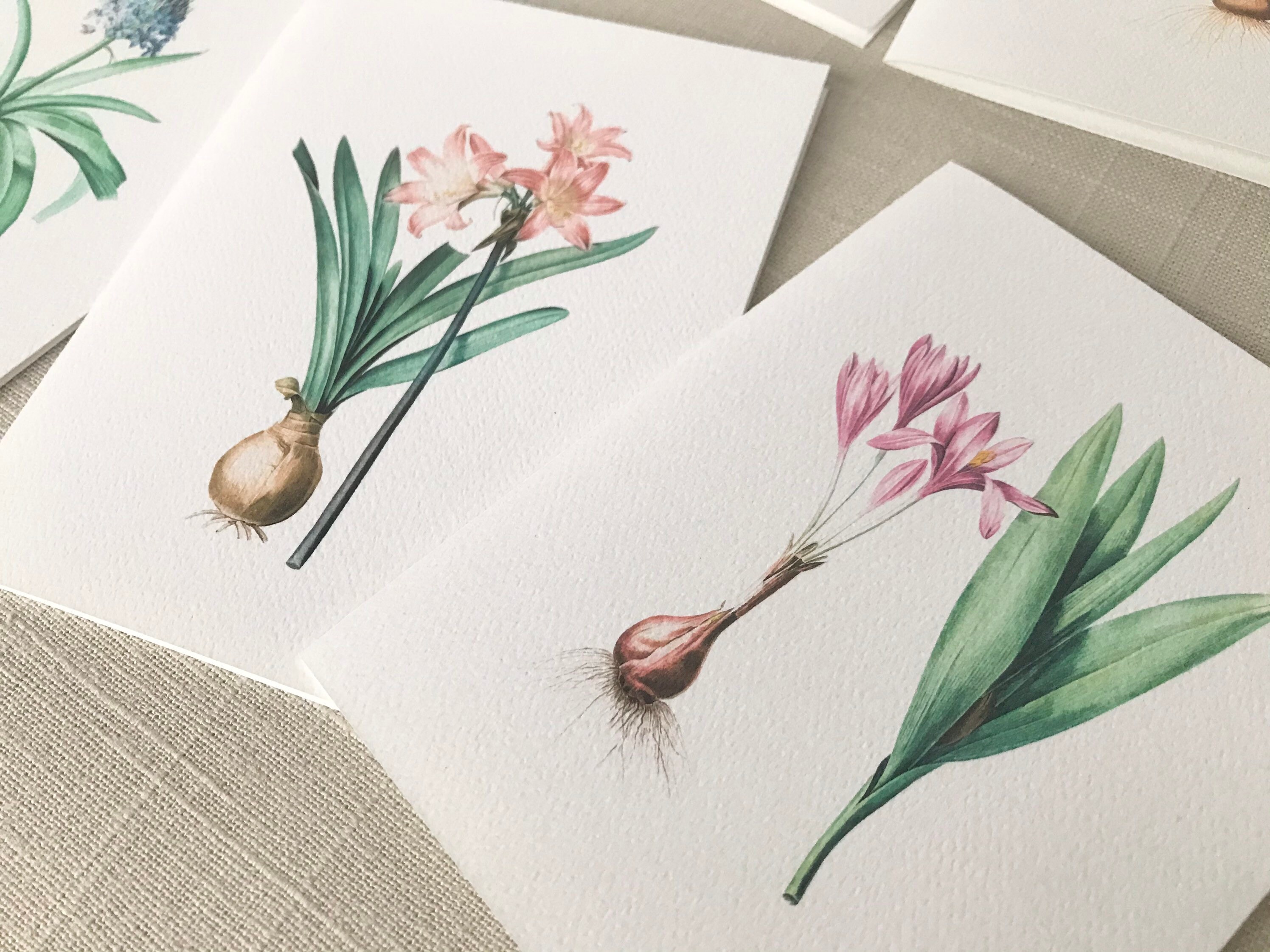 10 Pack Vintage Flowers Folded Note Cards With Envelopes - Etsy