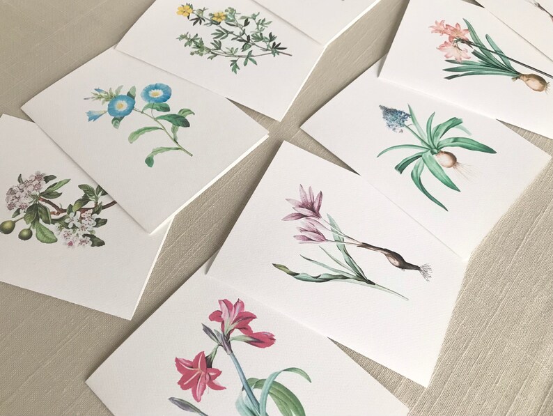 10 Pack Vintage Flowers Folded Note Cards With Envelopes - Etsy