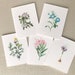 10 Pack Vintage Flowers Folded Note Cards With Envelopes, Floral Blank ...