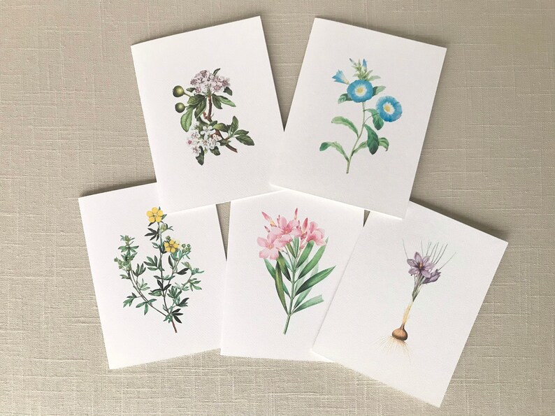 10 Pack Vintage Flowers Folded Note Cards With Envelopes - Etsy