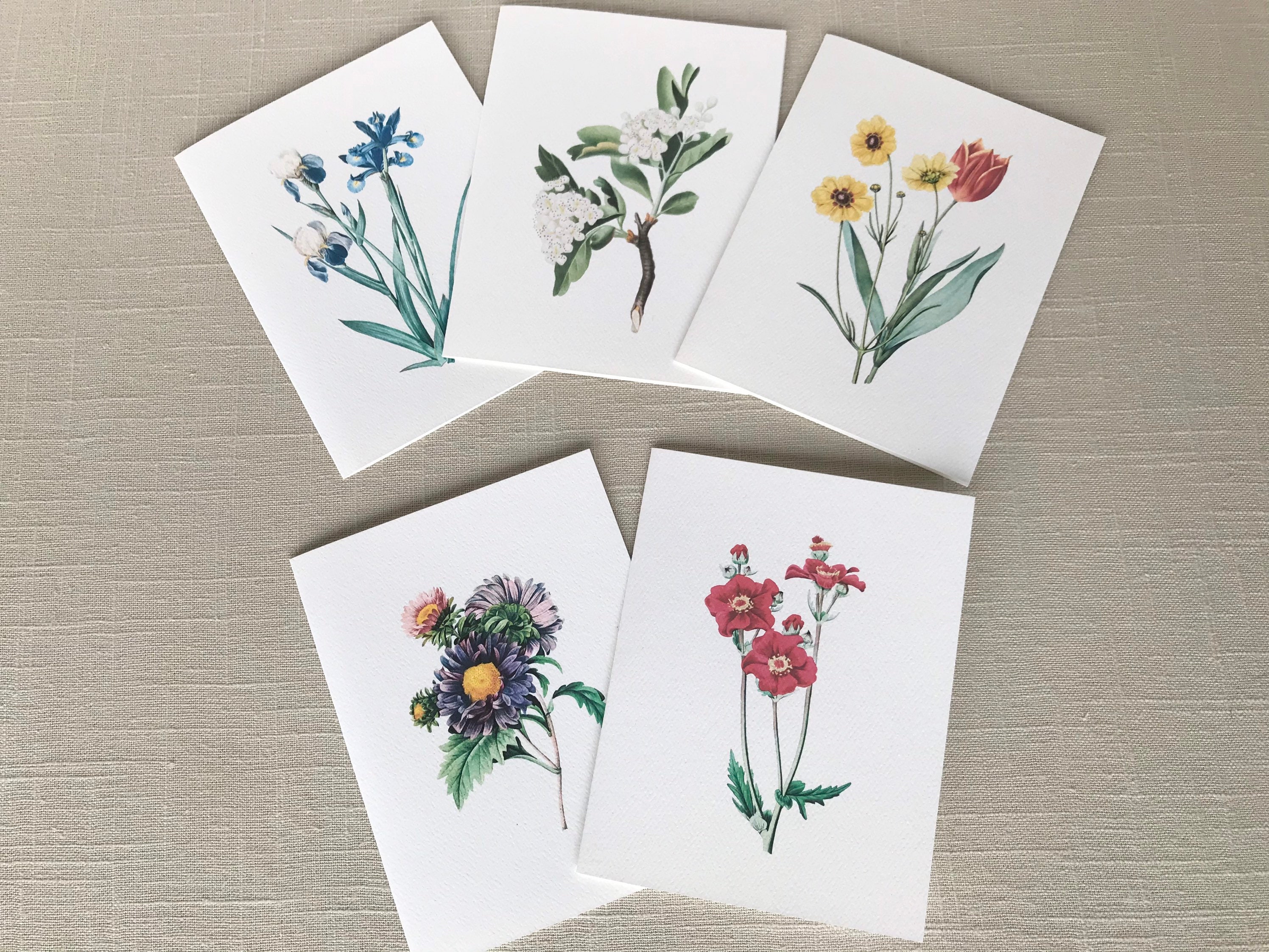 Set of 10 Spring Greeting Cards With Envelopes, Floral Blank Note Card ...
