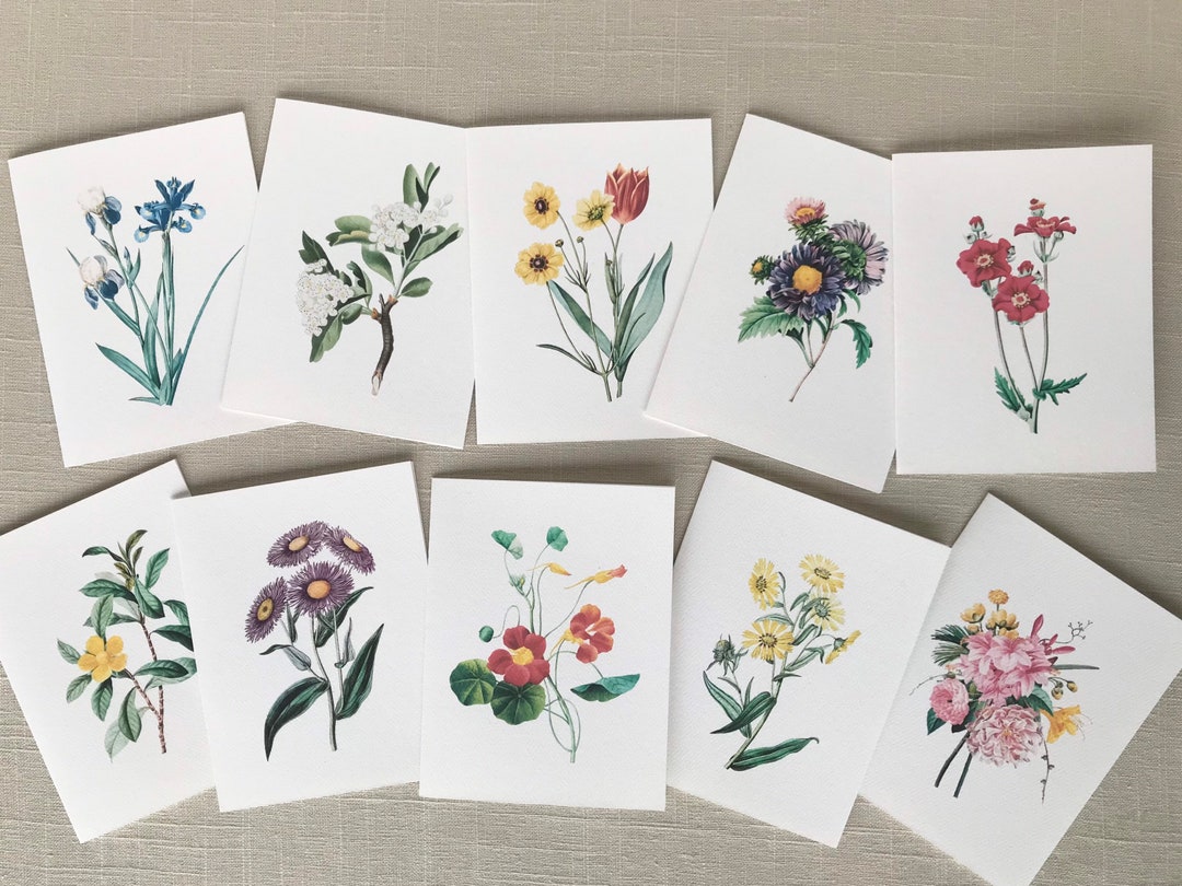 Set of 10 Spring Greeting Cards With Envelopes, Floral Blank Note Card ...