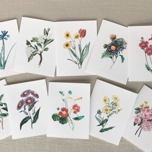 Set of 10 Spring Greeting Cards With Envelopes, Floral Blank Note Card ...
