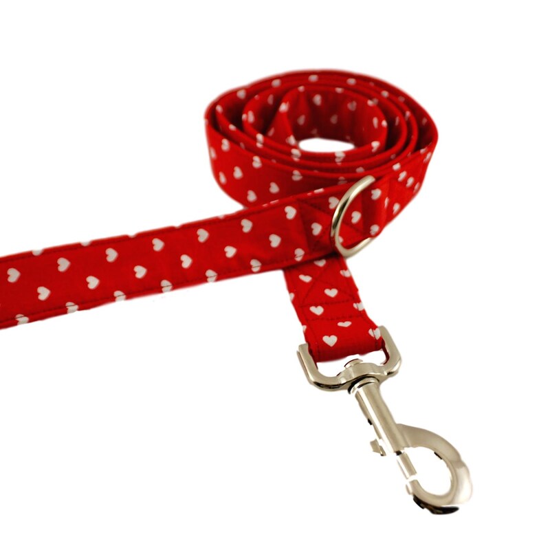 Custom Dog Leash - Etsy