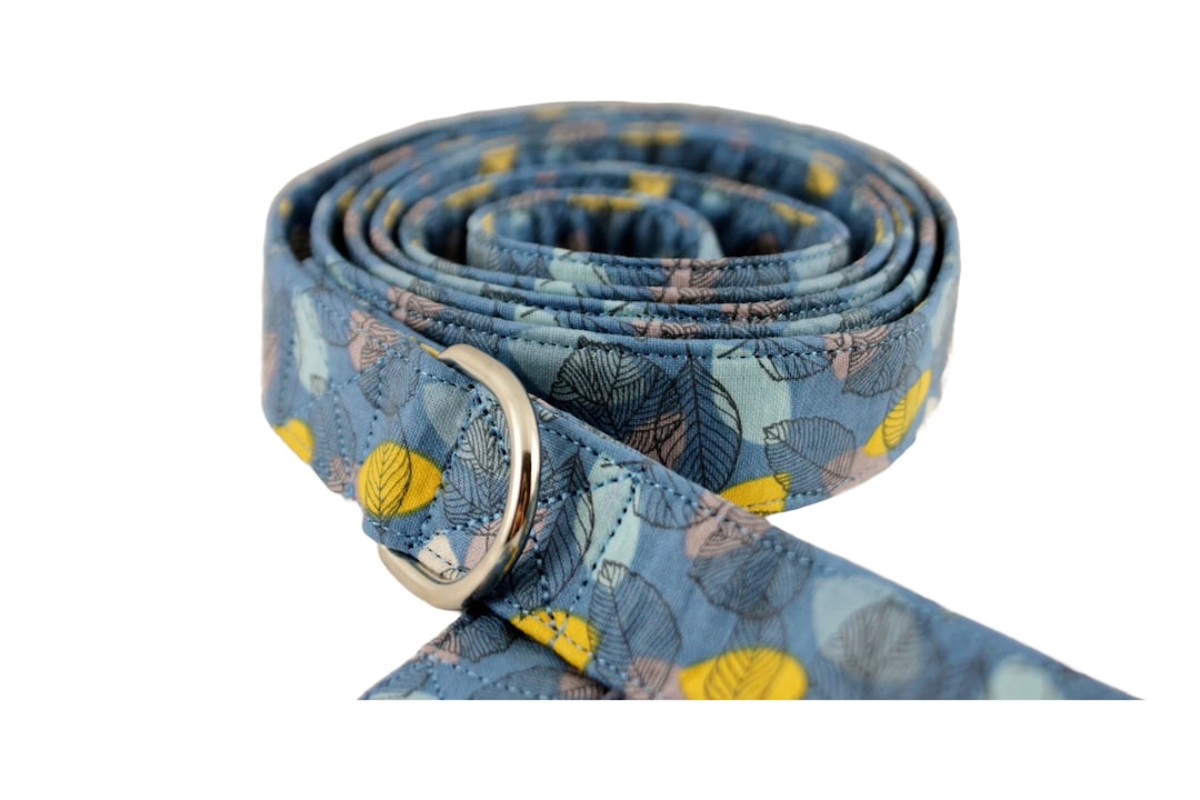 Falling Leaves Leash, Autumn Custom Dog Leash, Blue Leash, Leaves Dog ...