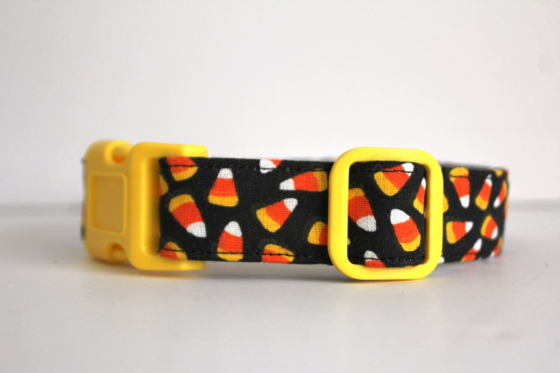 Candy Corn Collar Halloween Dog Collar Trick or Treat - Etsy