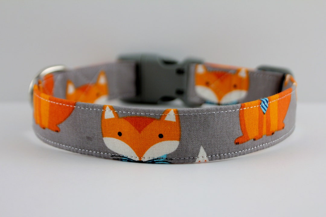 Smart Fox Collar Fox Dog Collar Gray Collar Boy Collar - Etsy